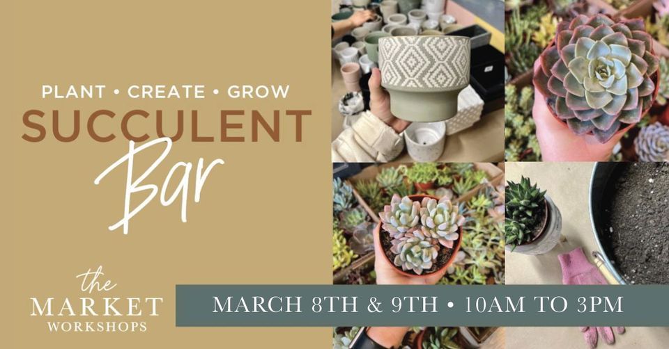 Succulent Bar at The Market, The Market on 4th, Minot, 8 March to 9 ...