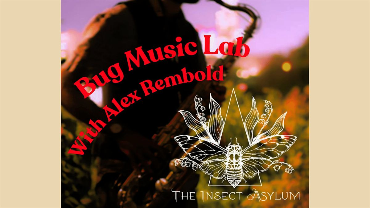 Bug Music Lab for Kids ages 8 - 18, The Insect Asylum, chicago, 25 ...