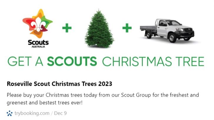 Roseville Scout Christmas Trees 2023, 1st Roseville Scout Group, Sydney ...
