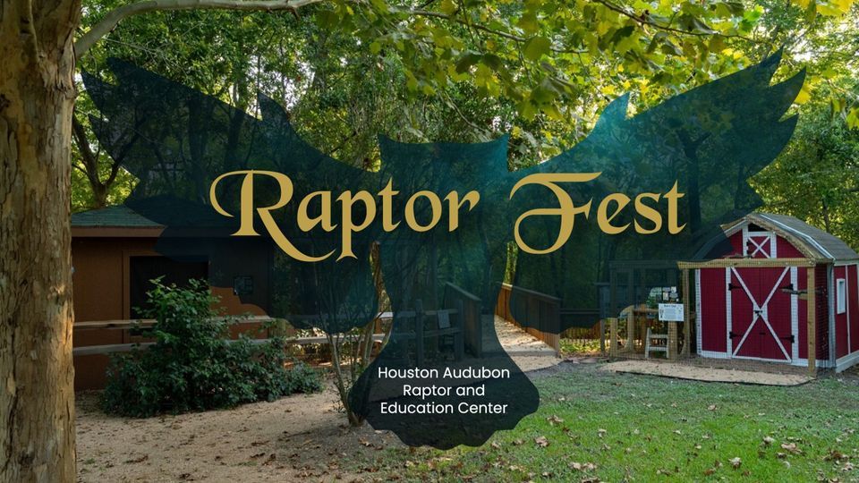 Raptor Fest with Houston Audubon, Houston Audubon Raptor and Education ...