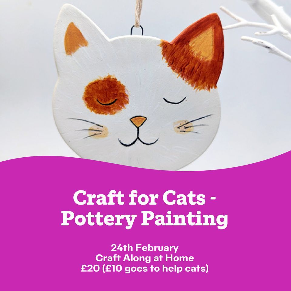 Craft for Cats - Pottery Painting, Online event, Ryde, Portsmouth ...