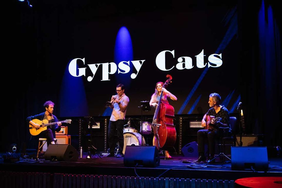 Samford Live Music Series | September 23rd | Gypsy Cats, Little Tree ...