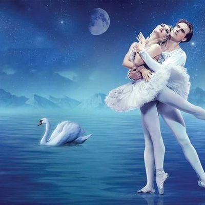 Le Lac des Cygnes - Ballet et orchestre, WEX, Marche-En-Famenne, 20 March 2025 | AllEvents.in