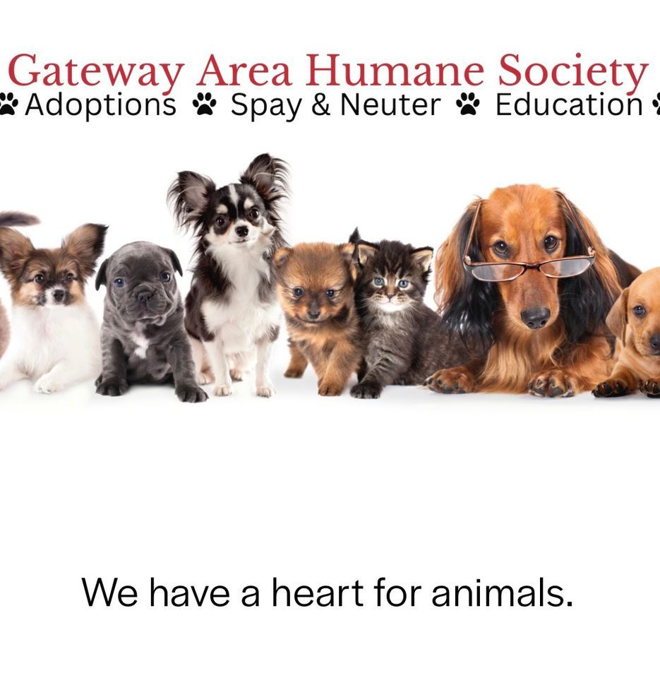 Witches-Day-Out, Gateway Area Humane Society, Mount Sterling, January 6 ...