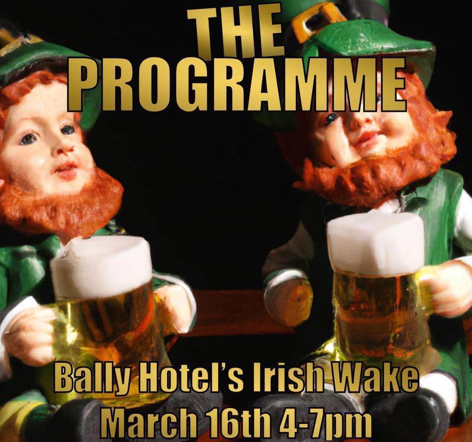 The Programme at The Bally Hotel, The Bally Hotel, 16 March 2024 ...