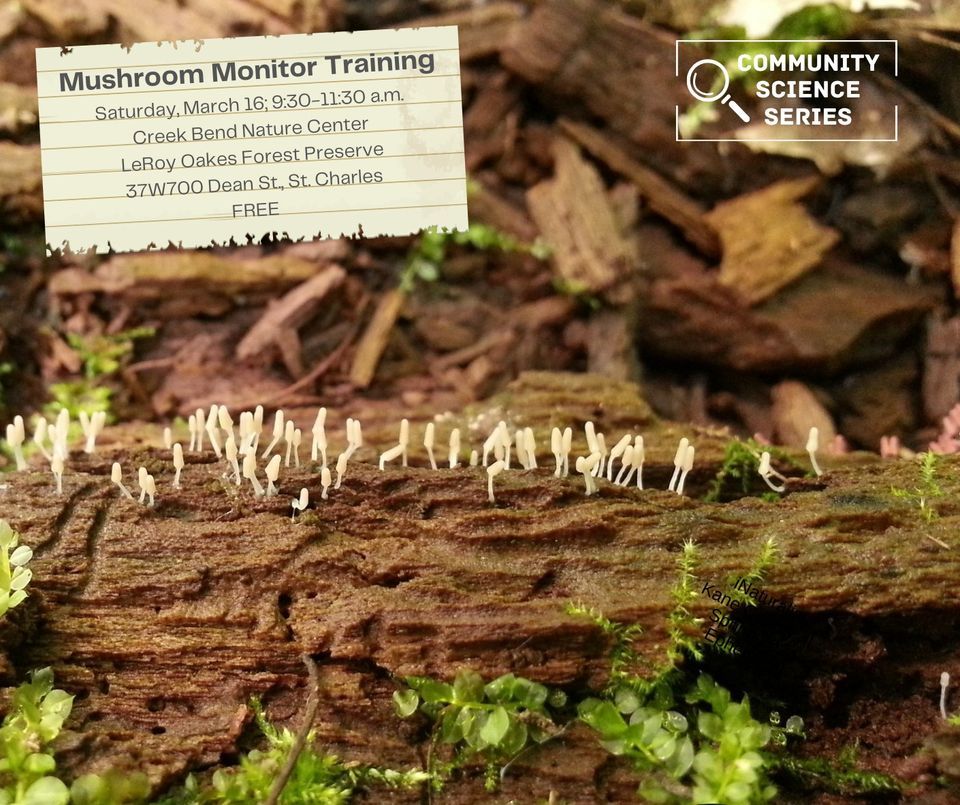 Community Science Series: Mushroom Monitor Training, Creek Bend Nature ...