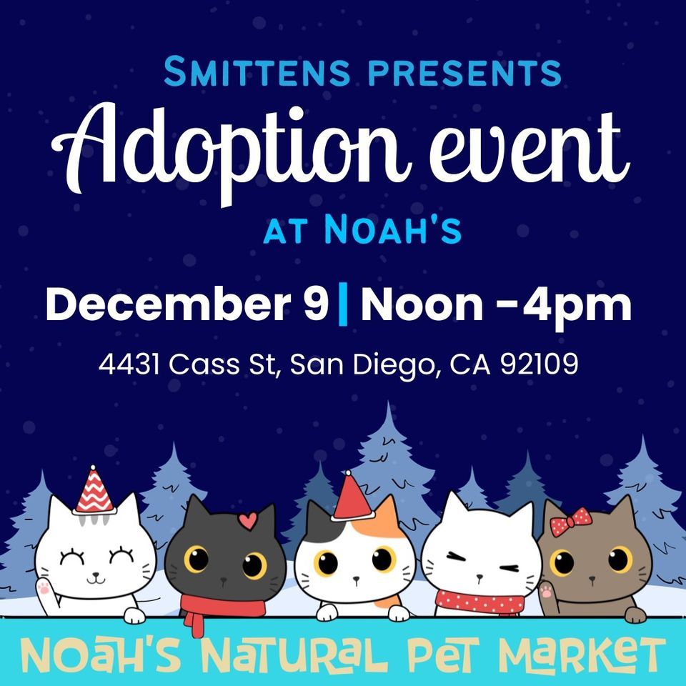 Cat Adoption Event at Noah’s, Noahs Natural Pet Market, San Diego ...