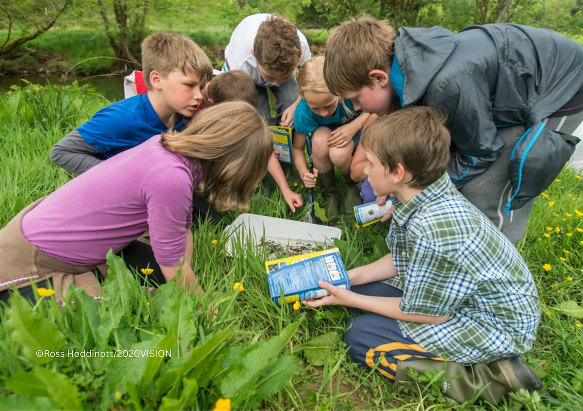 Wilder Families at Lingfield Nature Reserve, Lingfield Nature Reserves ...