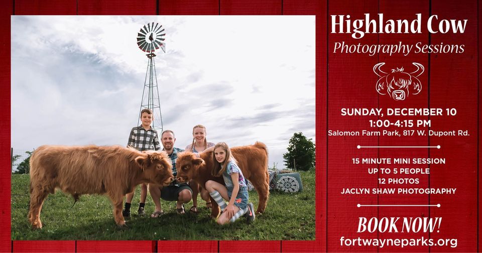 Highland Cow photo Sessions, Salomon Farm Park, Fort Wayne, December 10 ...
