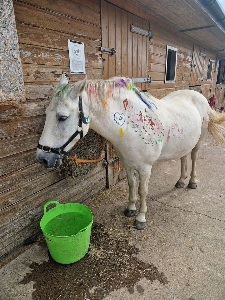 Easter Monday Funday, Torranyard, Irvine, Kilwinning, 1 April 2024 ...