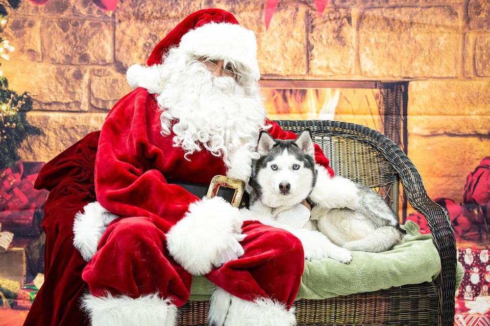 Pictures with Santa Paws, Millwood Station Banquet Hall, White Post, 12 ...