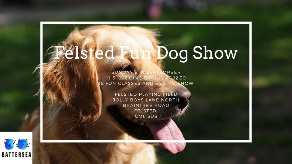 Felsted Fun Dog Show 2022 September 4 2022 Online Event AllEvents in Felsted Fun Dog Show 2022 September 4 2022 Online Event AllEvents in