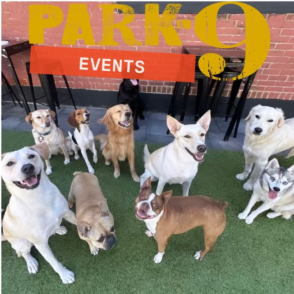 Park-9 Daycare Pack Mixer, Park-9 Dog Bar, Everett, 21 December 2023 ...