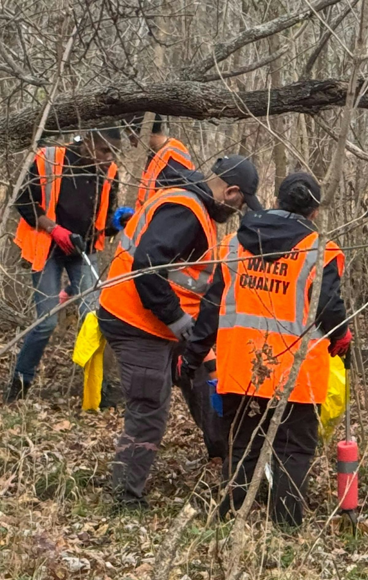 Little Bull Run/ Bull Run Cleanup -From Linden Park to Ben Lomond ...