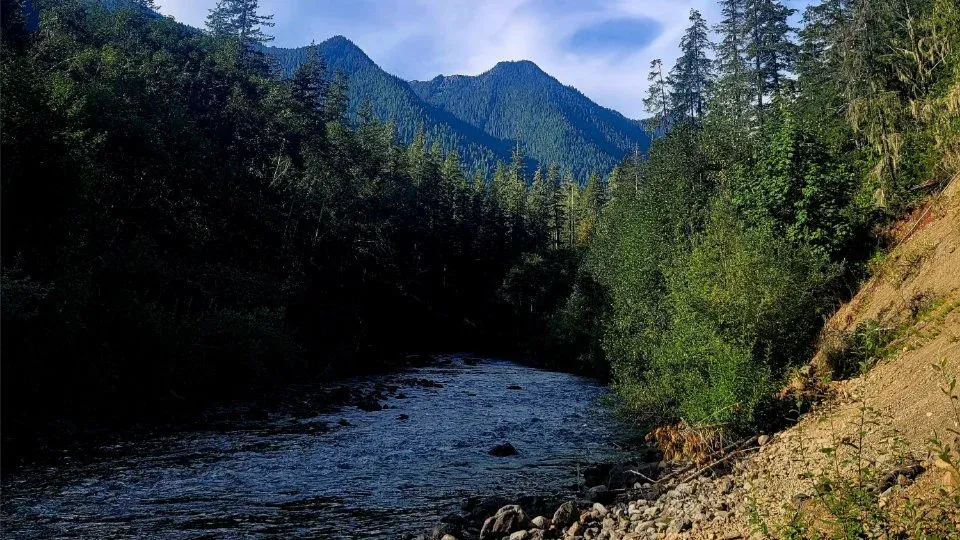 6 or so miles on the Dosewallips River Road Trail, Brinnon, Dosewallips ...