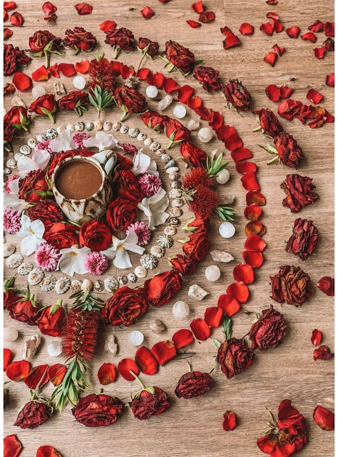 Human Warmth Cacao Music Jam, Roosevelt Row Apartment Homes, Phoenix, 5 ...