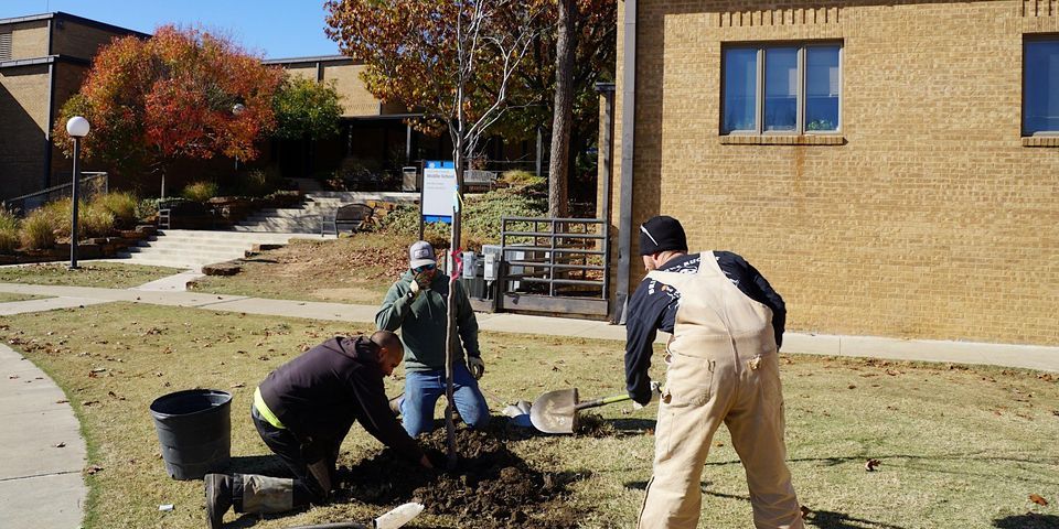 Community Tree Planting at Webster High School, 1919 W 40th Street ...