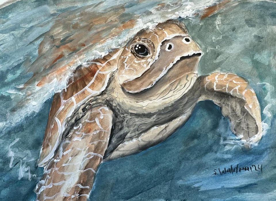 "Reflection" Sea Turtle Acrylic Wash, City Market place 160 Cypress Point Parkway B209, Palm ...