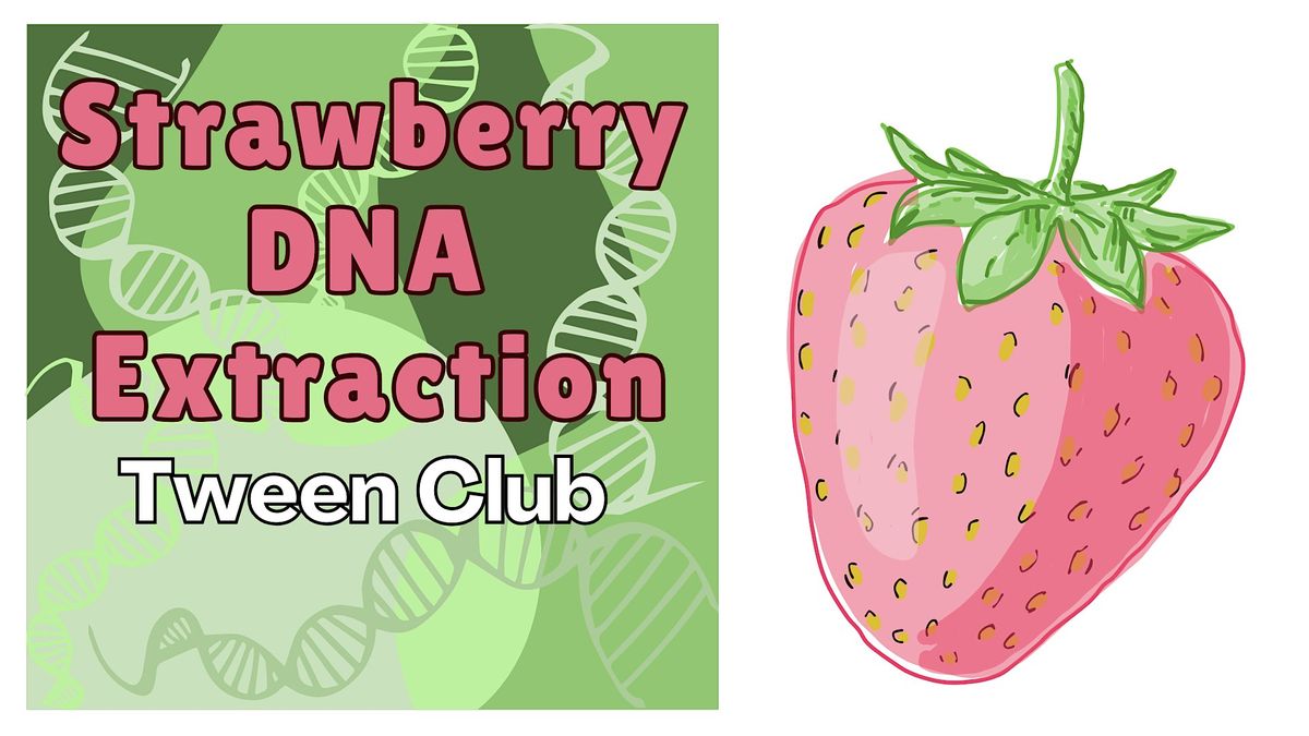 Tween Club, American Fork Library, 12 February 2026 | AllEvents