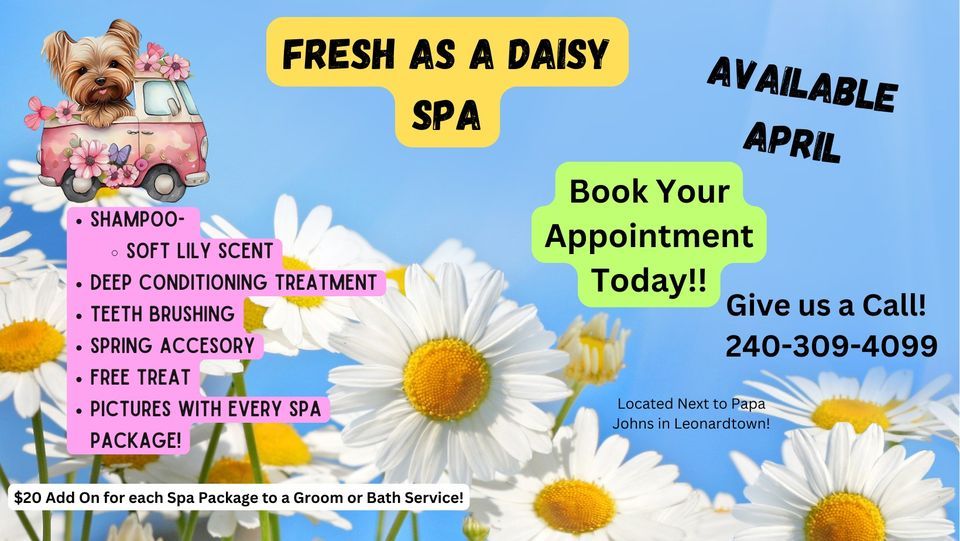 "Fresh as a Daisy" Spa, EarthWise Pet Leonardtown, April 1 2024 ...