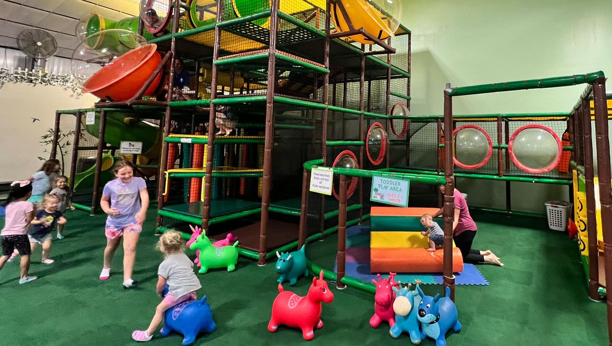 Jungle Jam, MegaCorp Pavilion, Newport | AllEvents