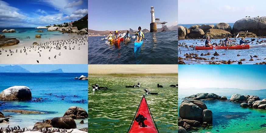 Fully Booked - 2 Hour Penguin Sea Kayak Trip from Long Beach to ...