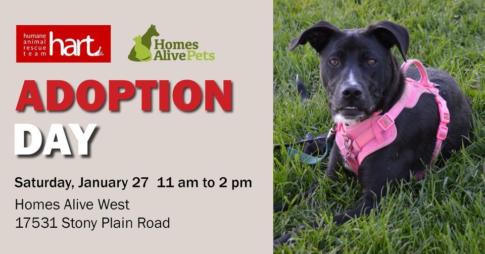 hart Adoption Day at Homes Alive Pets WEST, 17531 Stony Plain Rd NW ...