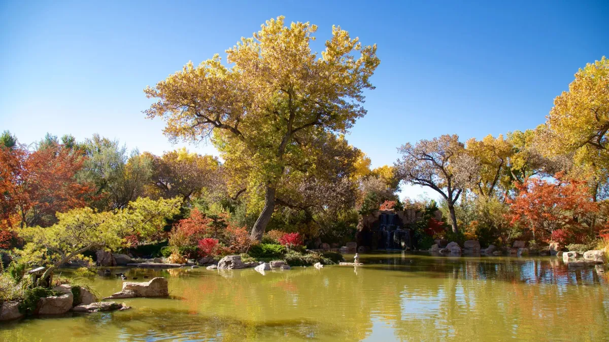 Fall at Biopark Garden, ABQ BioPark Botanic Garden, Albuquerque, 25 ...