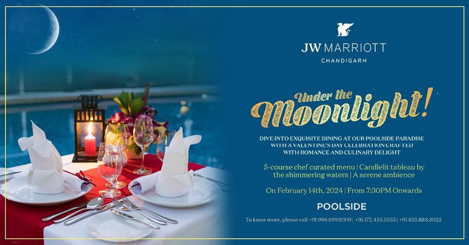 Under the Moonlight!, JW Marriott, Sector-35B, Dakshin Marg, Chandigarh ...