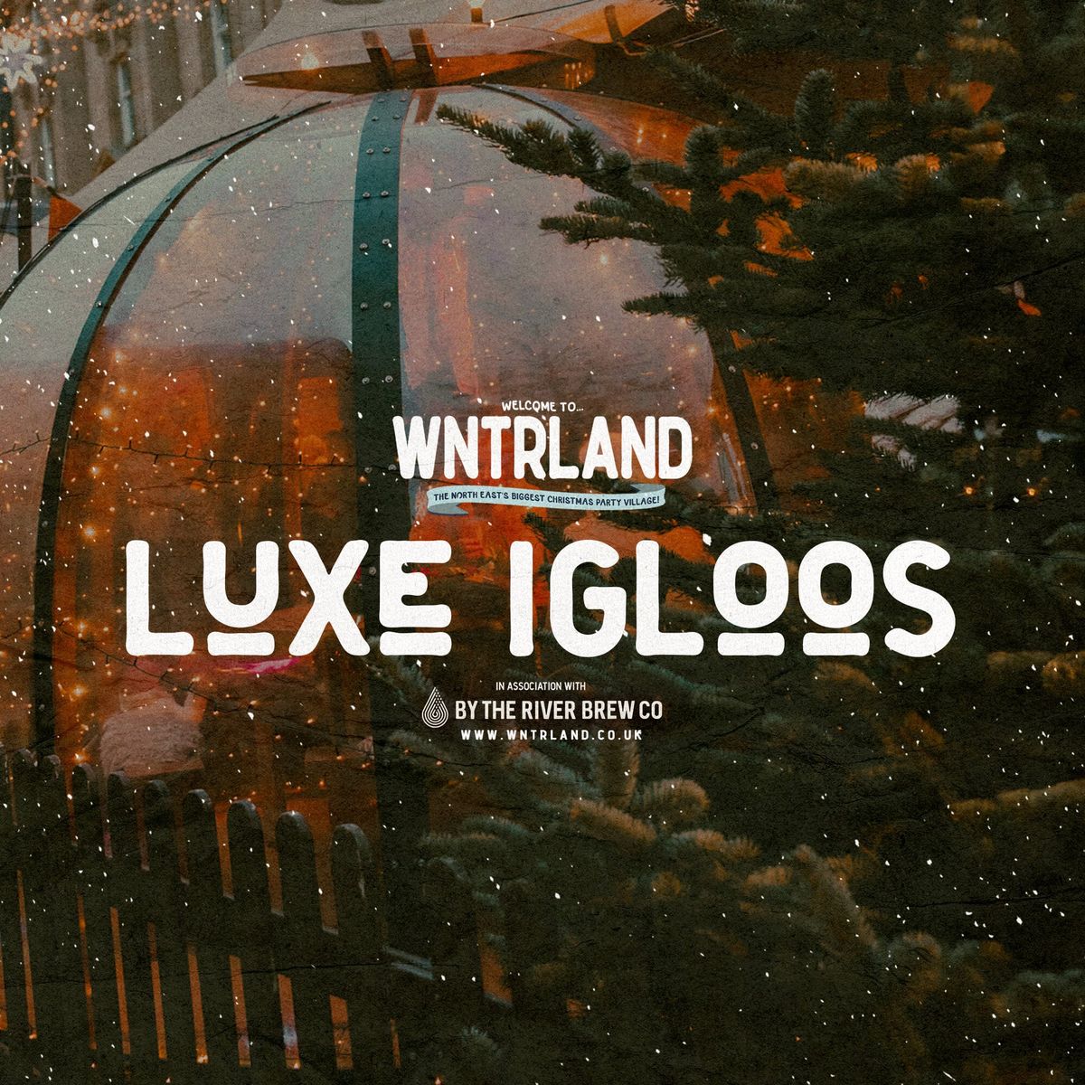 Friday 29th November - Luxe Igloo Table Booking (100% Of Deposit Serves ...