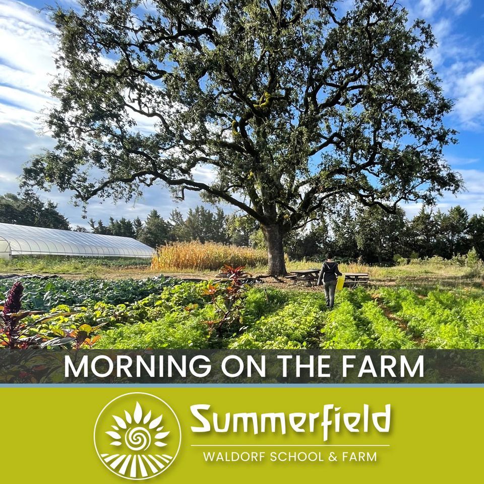 Morning on the Farm, Summerfield Waldorf School and Farm, Santa Rosa ...