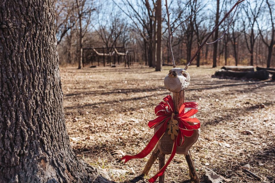 Santas Lost Reindeer Scavenger Hunt at the Tree Adventure, Arbor Day ...