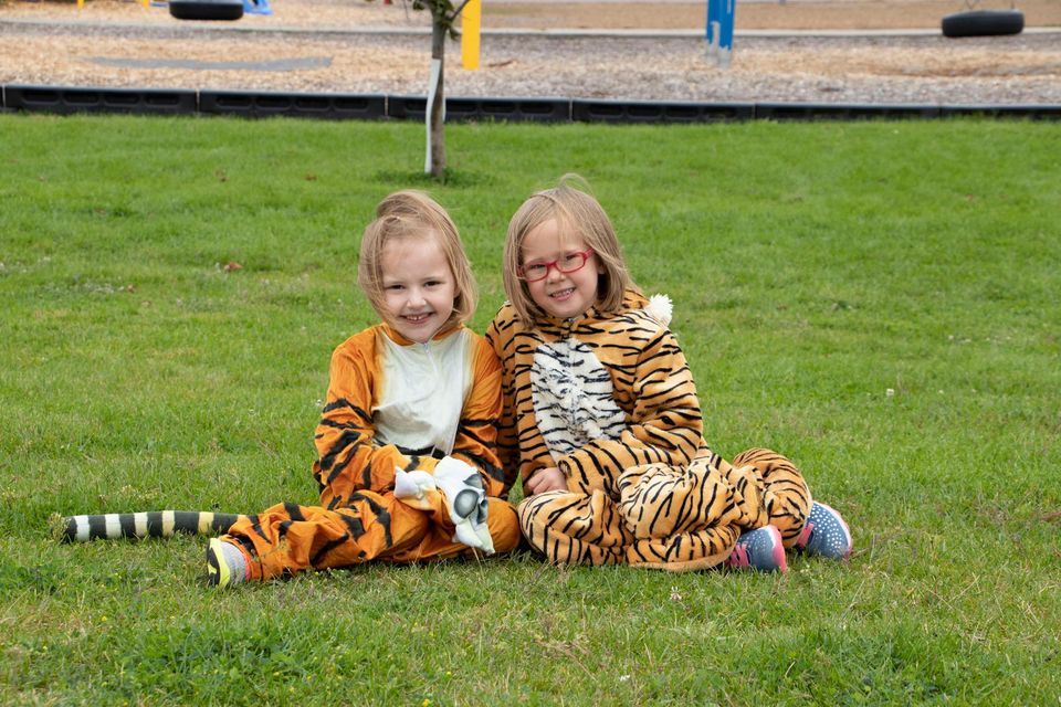 Spanish Immersion Kindergarten Informational Meeting, Princeton Primary ...