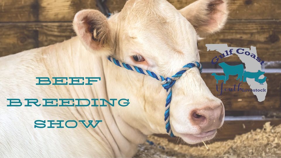Beef Breeding Show, Lee County Posse, North Fort Myers, February 6 2024 ...