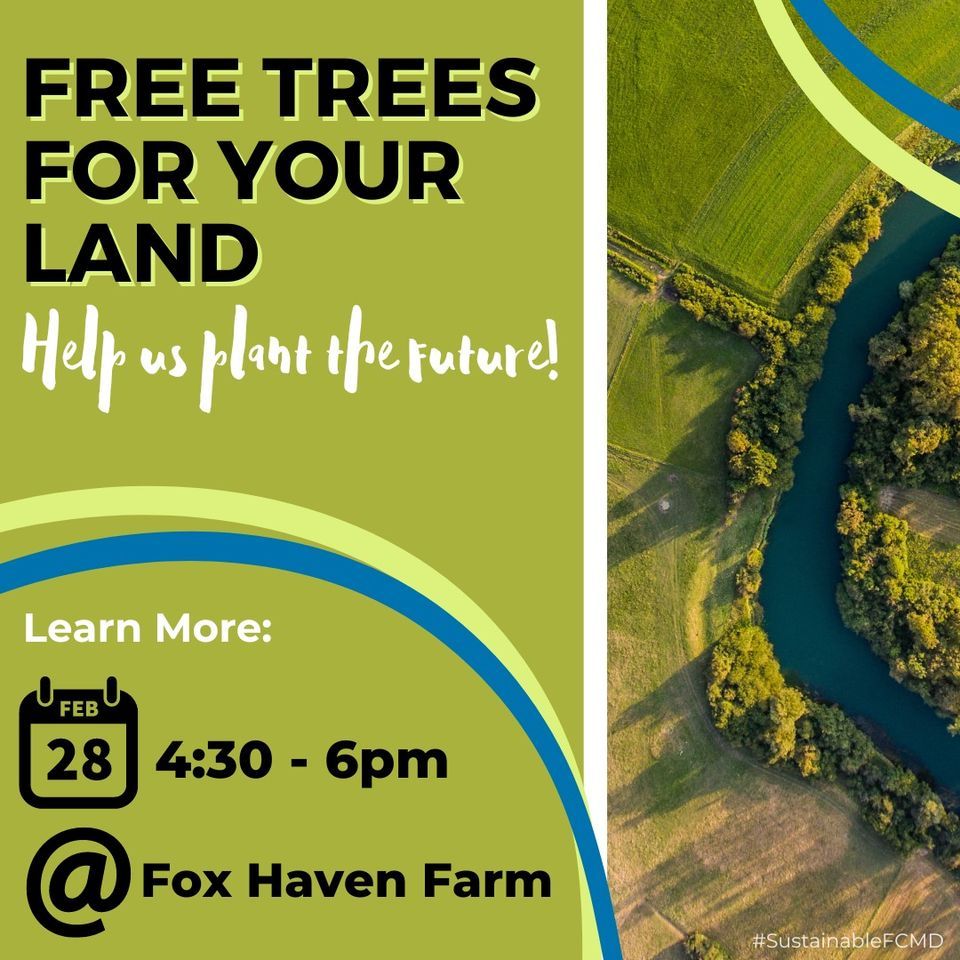 Free Trees For Your Land!, Fox Haven Farm & Retreat Center, Jefferson ...
