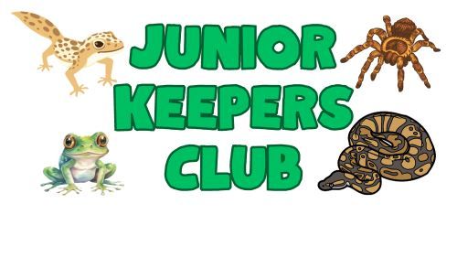 Junior Keepers Club Informational Meeting, Redding Reptiles, 17 January ...
