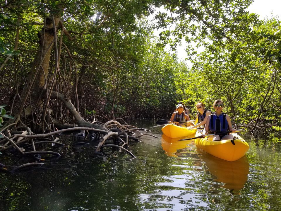 Bayside Kayak Excursion, Crandon Park Marina, Key Biscayne, January 15 ...