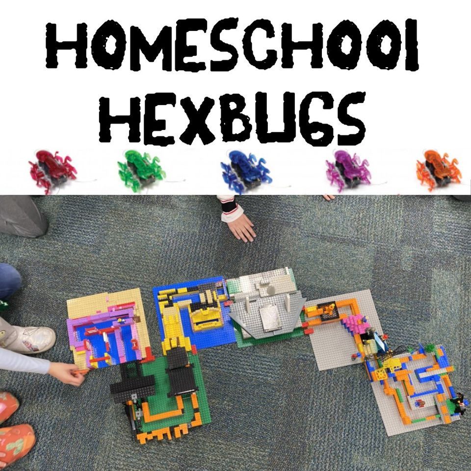 Homeschool Hex Bugs, Highland County Public Library, Monterey, January ...