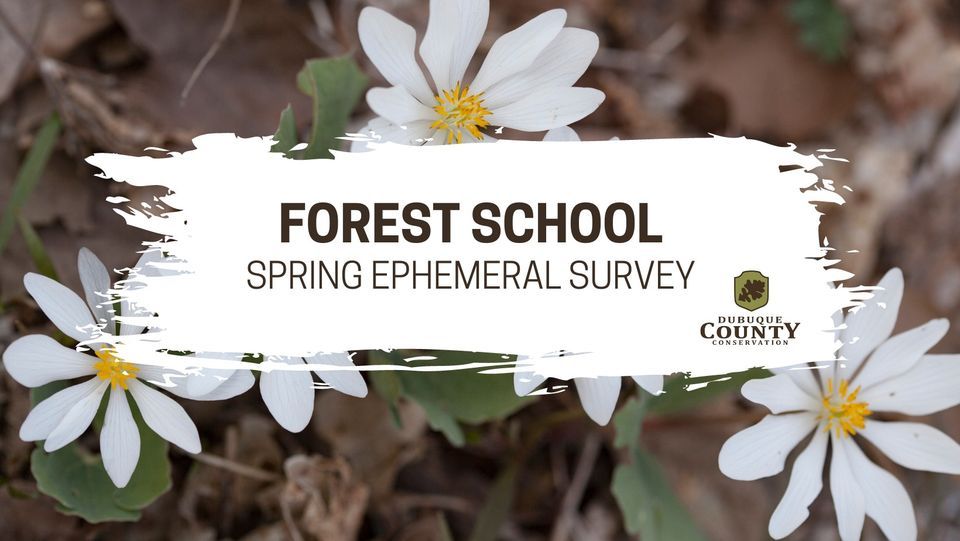 Forest School - Spring Ephemeral Survey, 13606 Swiss Valley Road ...