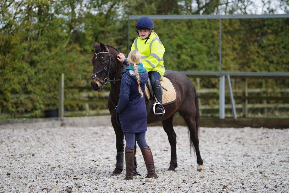 Gymnastics Clinic , Davina Barber Equestrian - Backing, Schooling ...