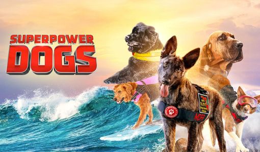 Sensory Friendly Screening: Superpower Dogs at Giant Screen Experience ...