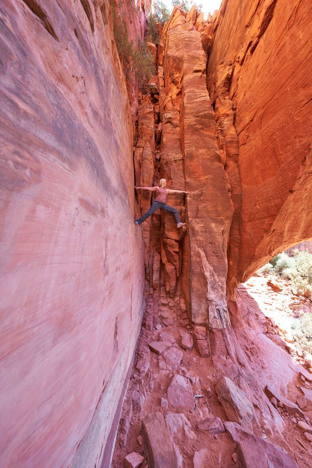 Sedona ULTIMATE Hiking and Yoga Retreat 2024 ~ SOLD OUT!, Red Agave ...