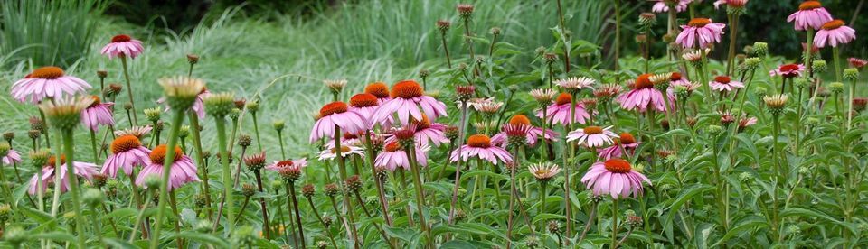 Leawood Garden Club Meeting September, Cure of Ars Catholic Church ...
