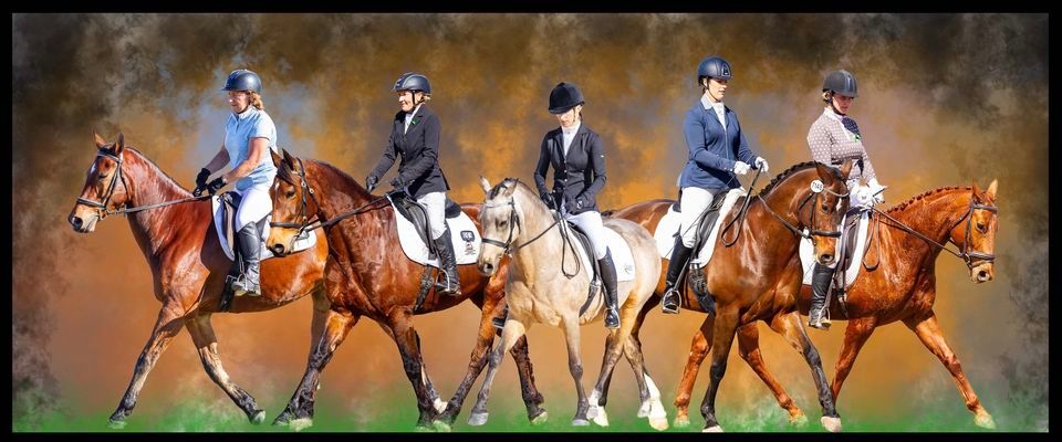 Photographing LVRC Show Jumping, Logan Village Riding and Pony Club ...