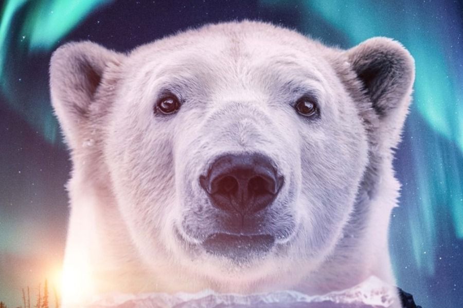 The Arctic: Our Last Great Wilderness, Faulkner Planetarium, Twin Falls ...