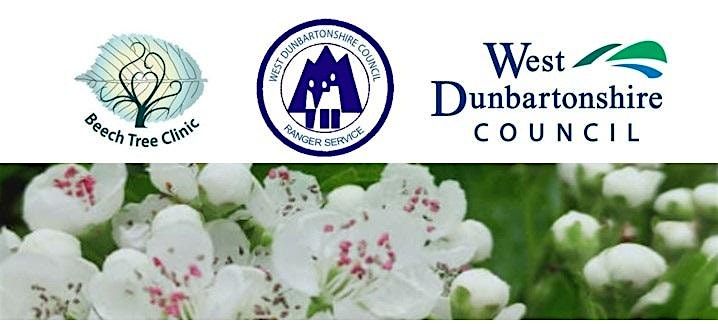 Foraging Walk - Balloch Castle Country Park, Balloch Castle Country ...