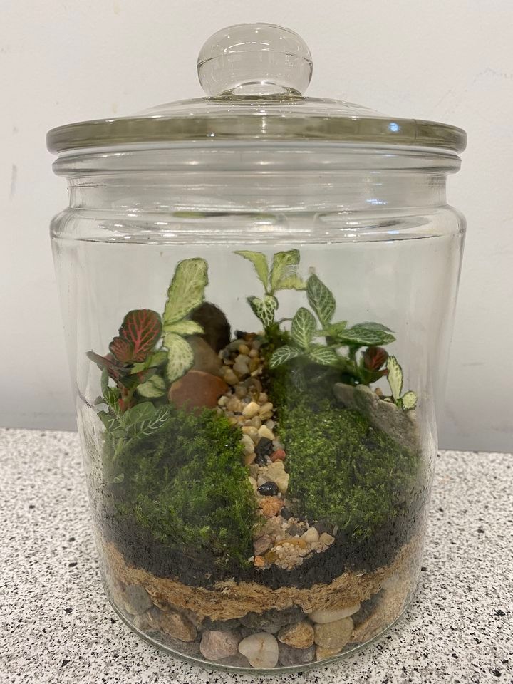 Terrarium Workshop Upgrade Available, The Carlisle Collective, Perth ...