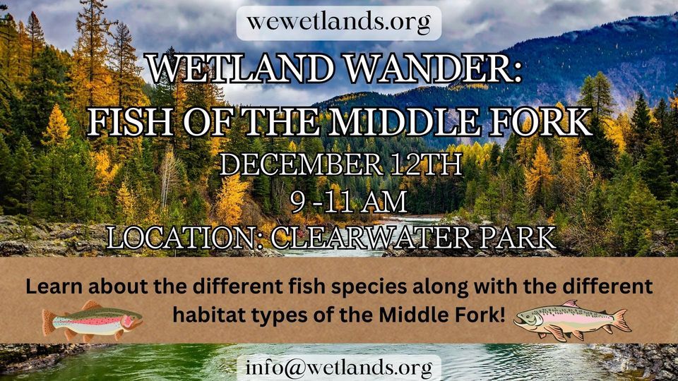 December Wetland Wander: Fish of the Middle Fork, Clearwater Park and ...