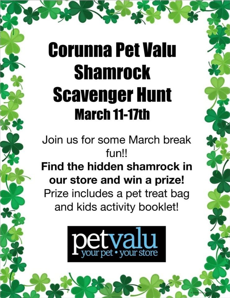 Shamrock Scavenger Hunt, 197 Hill St, Corunna, ON, Canada, 11 March to ...