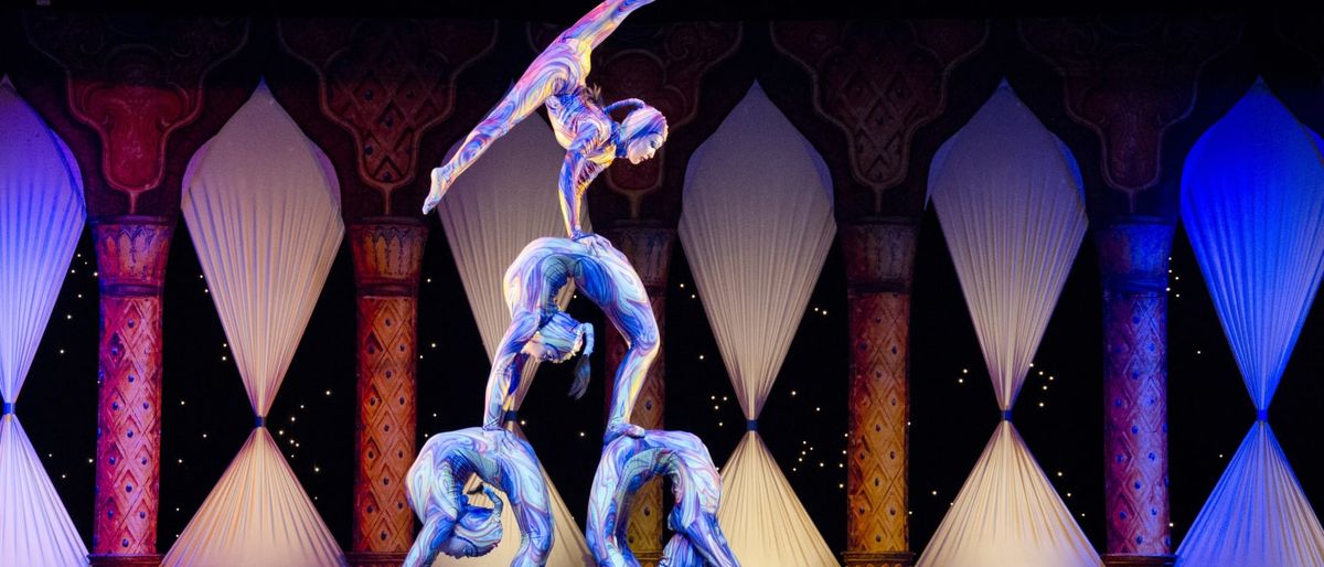 Parking Cirque du Soleil: Luzia - Toronto – Things to Do in Toronto ...